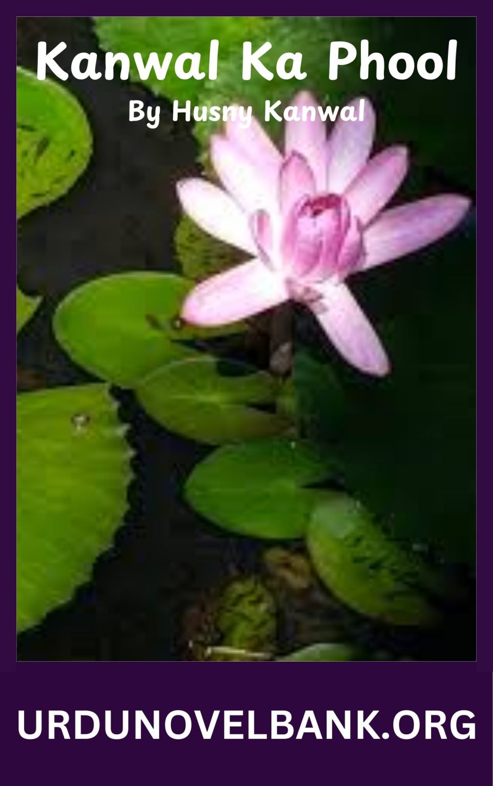 Kanwal Ka Phool Novel By Husny Kanwal - Download Complete pdf