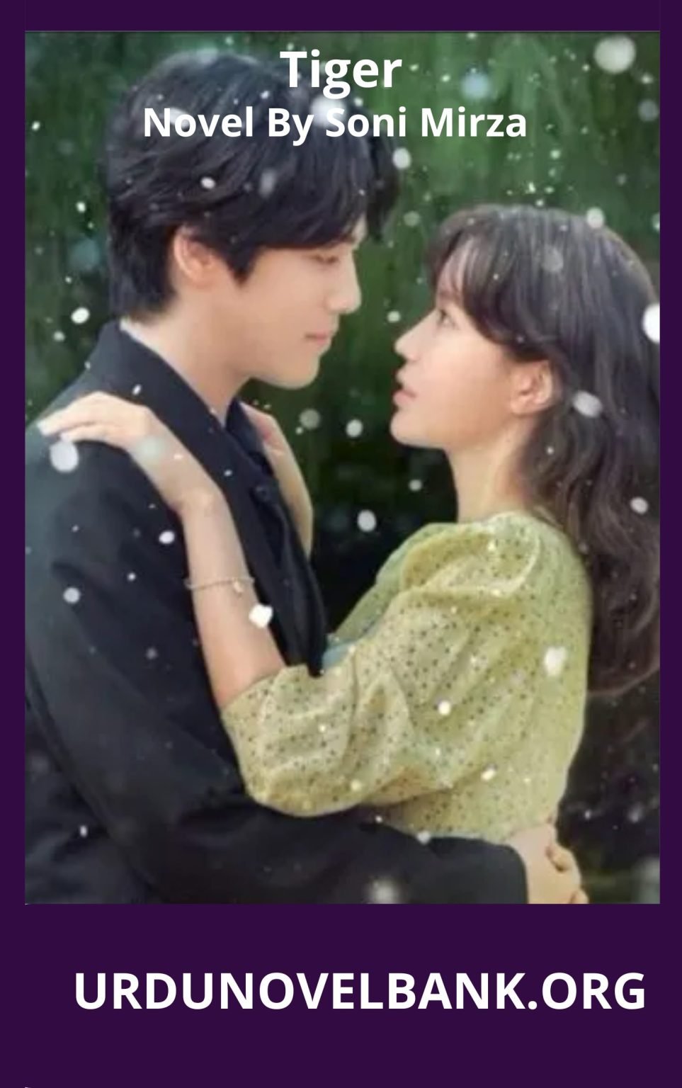 Tiger Novel By Soni Mirza (Season 2 of Jaan e Aziz)